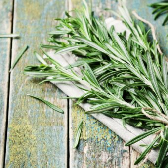 Biberiye nedir, biberiyenin faydaları nelerdir ve biberiye nasıl ...