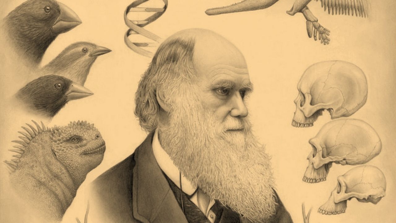 Evrim düşüncesinin geçirdiği evrimlerle tarihte ufak bir gezinti - Uplifers