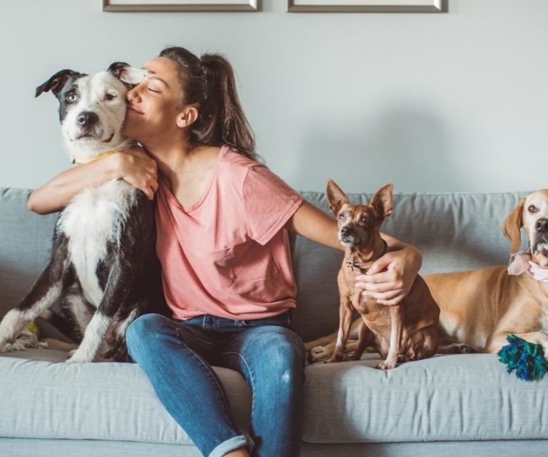 2022 yılının en çok okunan Pet Up yazıları - Uplifers